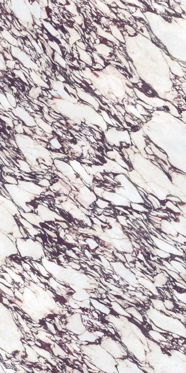 INFINITY _Calacatta Viola Porcelain - Zuccari Stone Suppliers Perth, WA