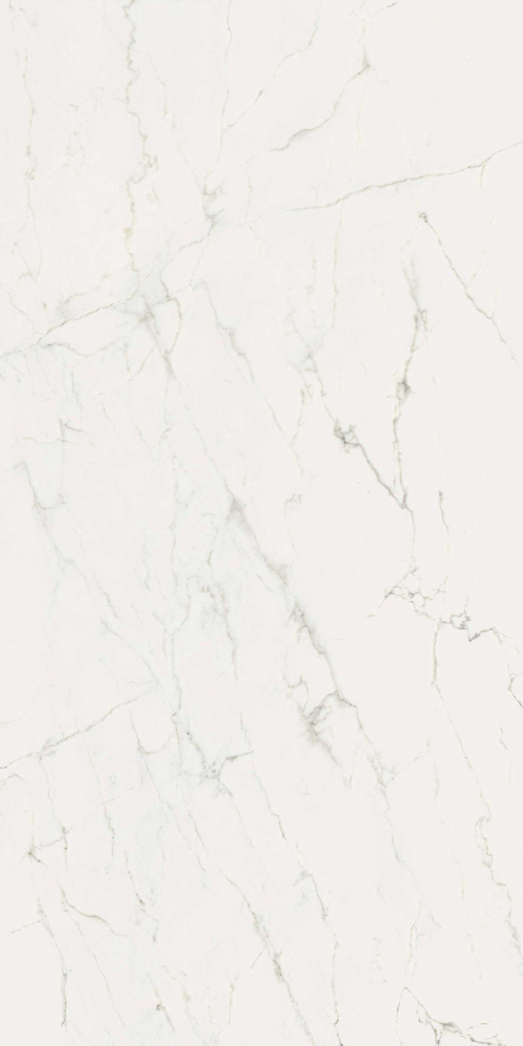 INFINITY_Calacatta Lincoln Porcelain - Zuccari Stone Suppliers Perth, WA